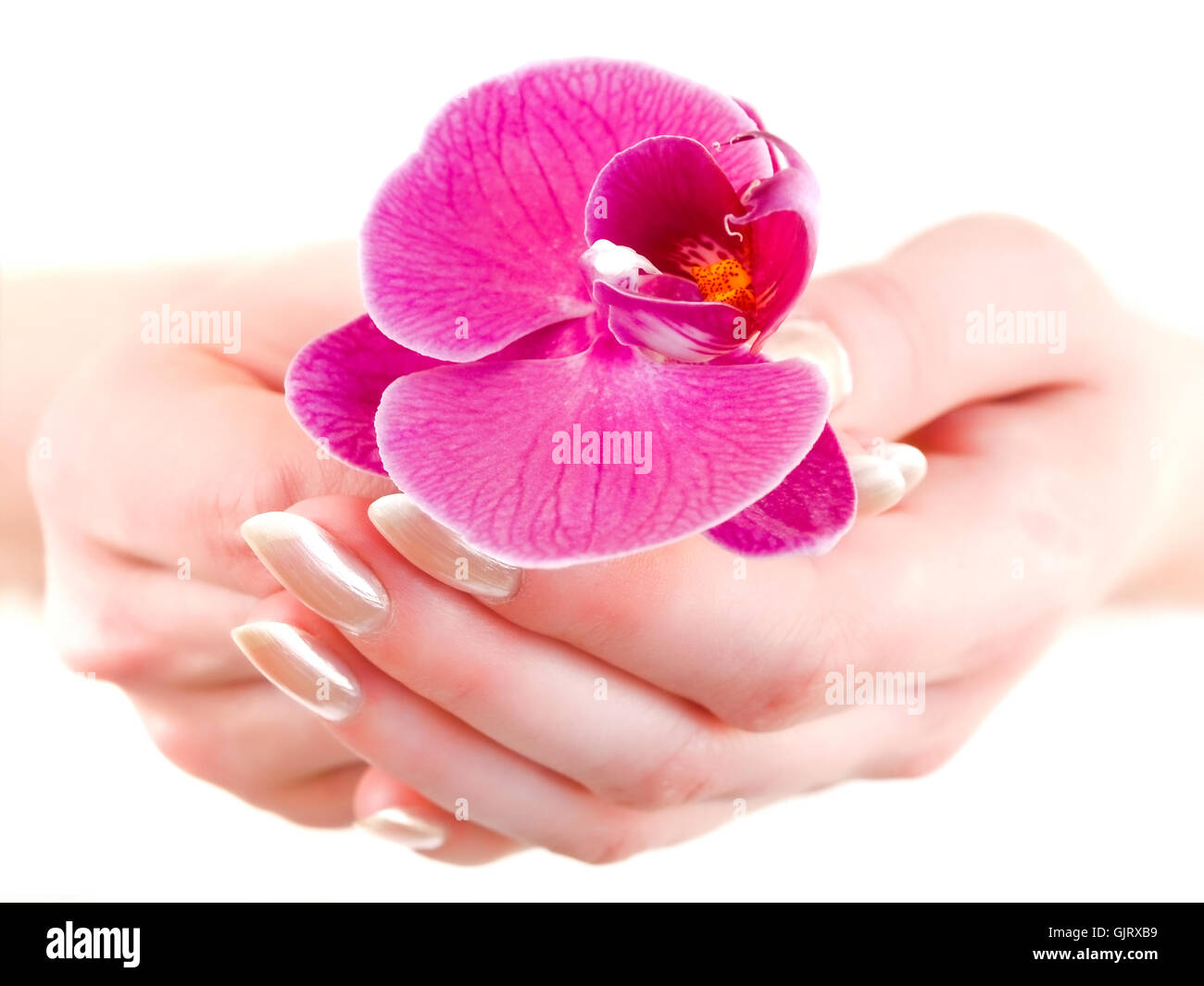 flower plant fingers Stock Photo - Alamy