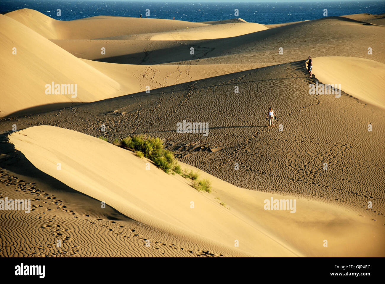 dunes desert wasteland Stock Photo - Alamy
