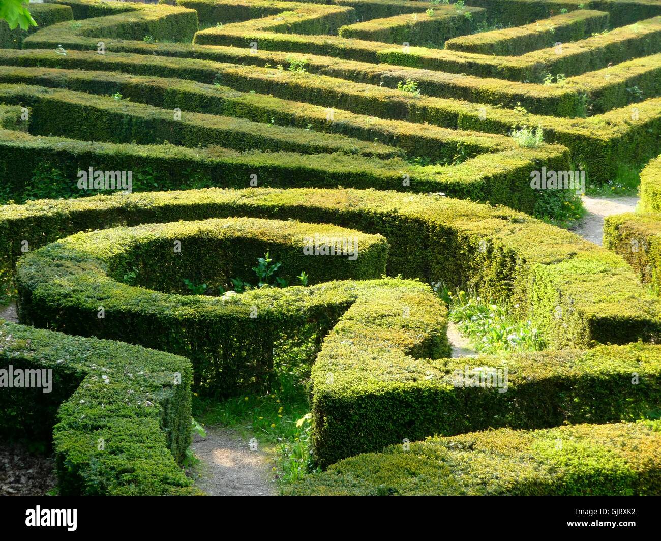 Shrub maze hi-res stock photography and images - Alamy