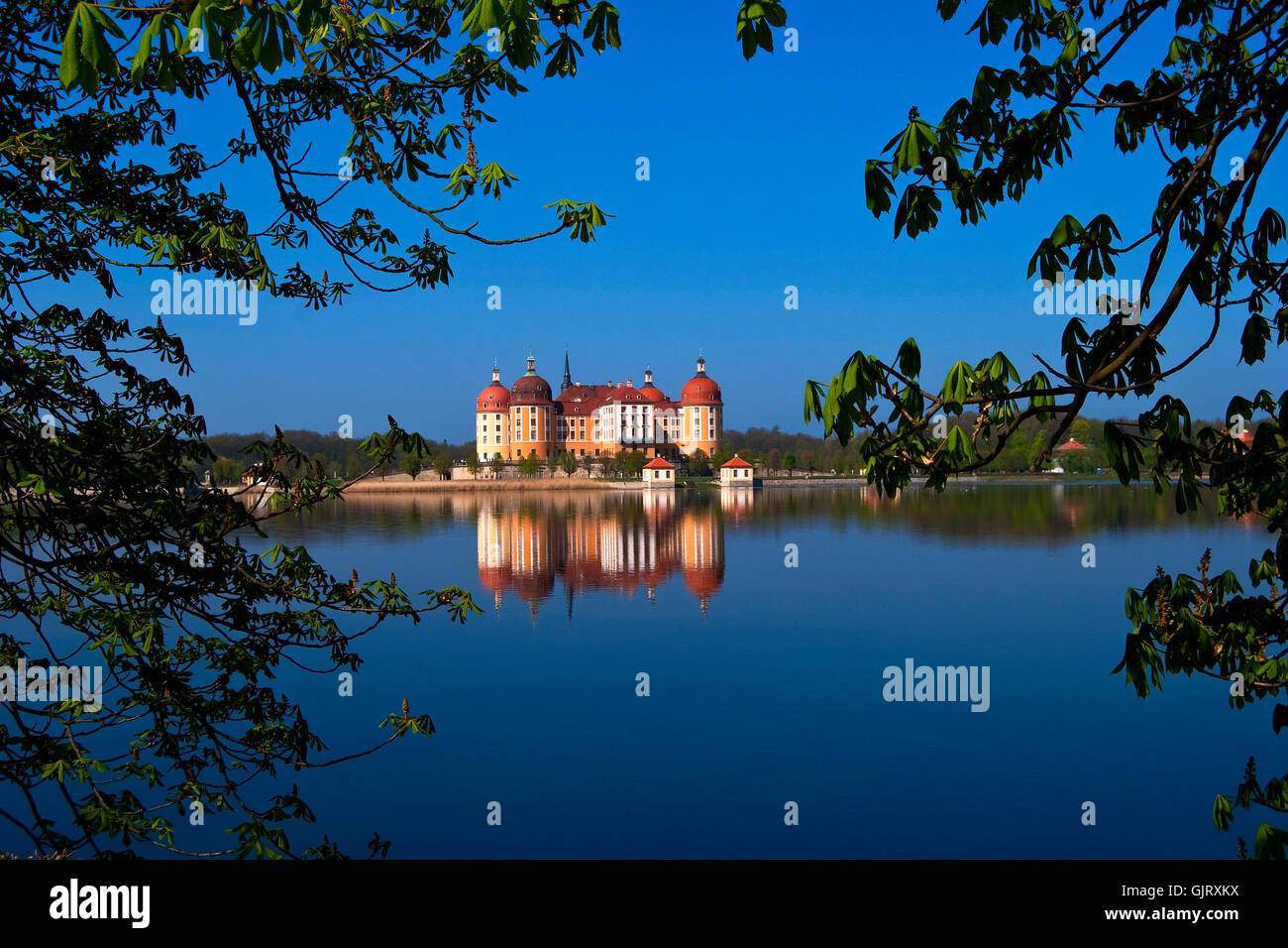 Dresden colors hi-res stock photography and images - Alamy