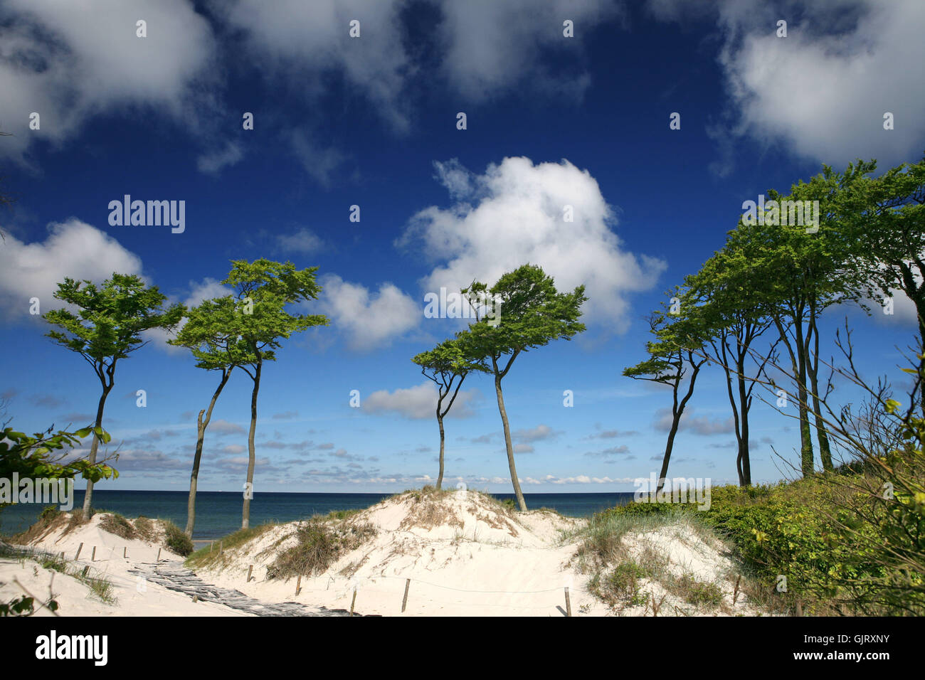 Baltic seaside wild nature hi-res stock photography and images - Alamy