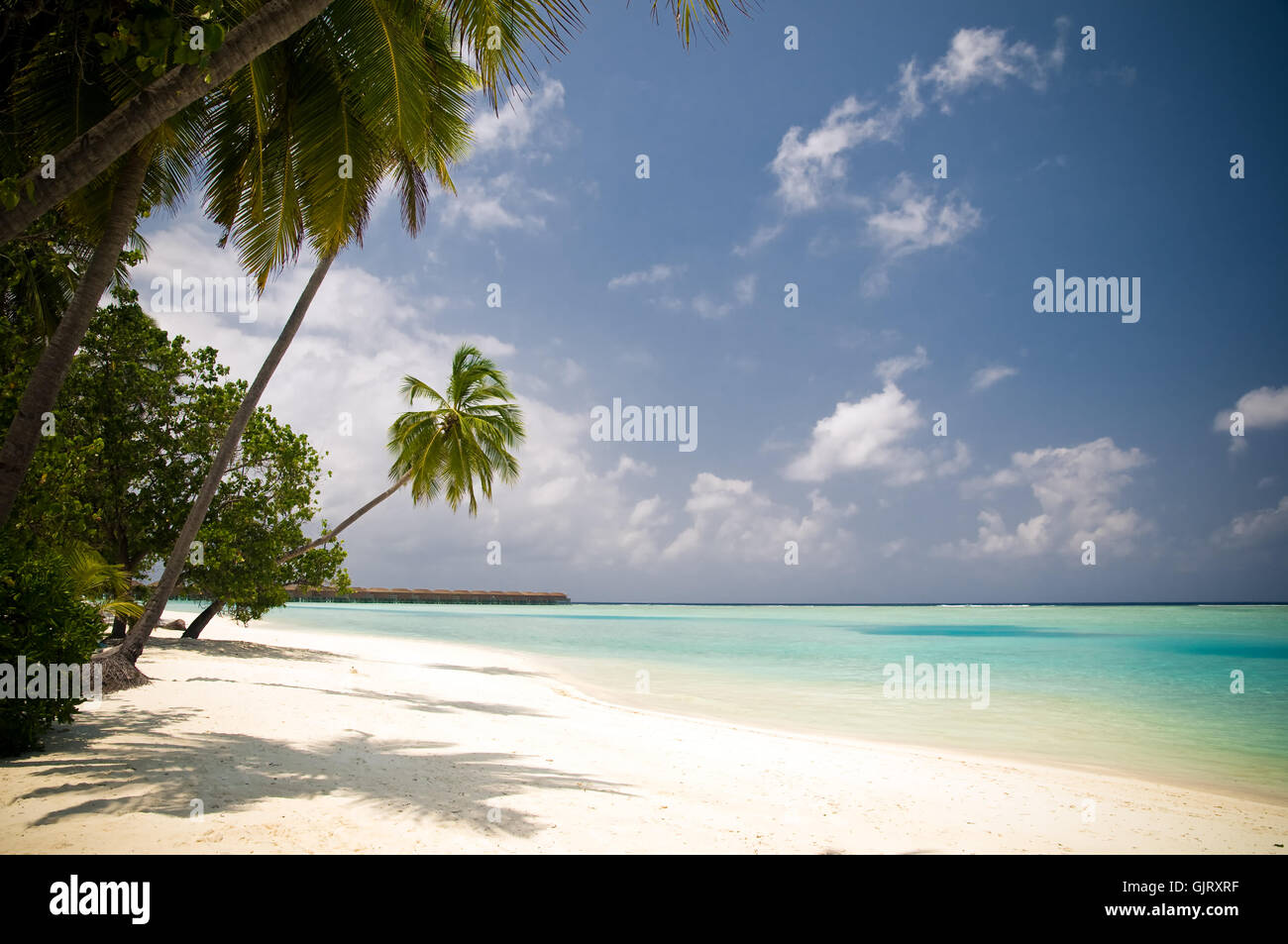 Tropical dream holidays hi-res stock photography and images - Alamy