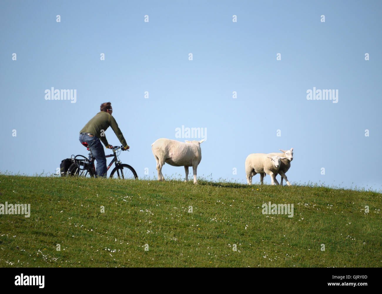 spare time free time leisure Stock Photo - Alamy