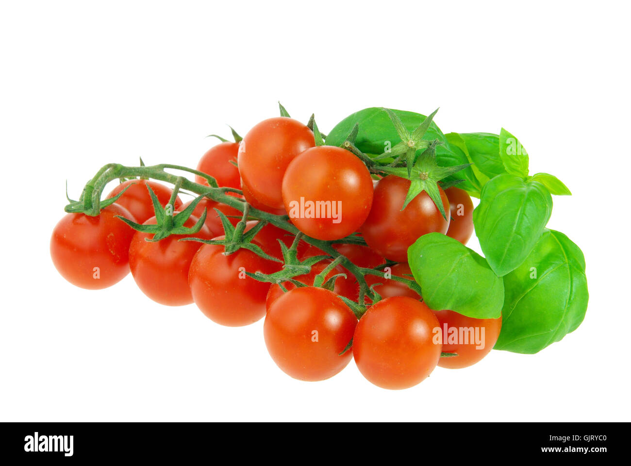 tomato and basil - tomato and basil 09 Stock Photo - Alamy