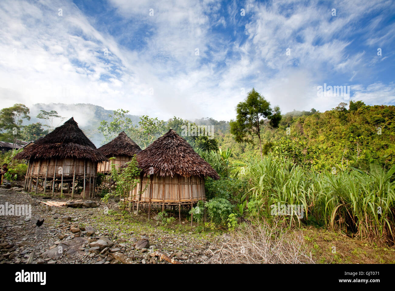 house building life Stock Photo - Alamy
