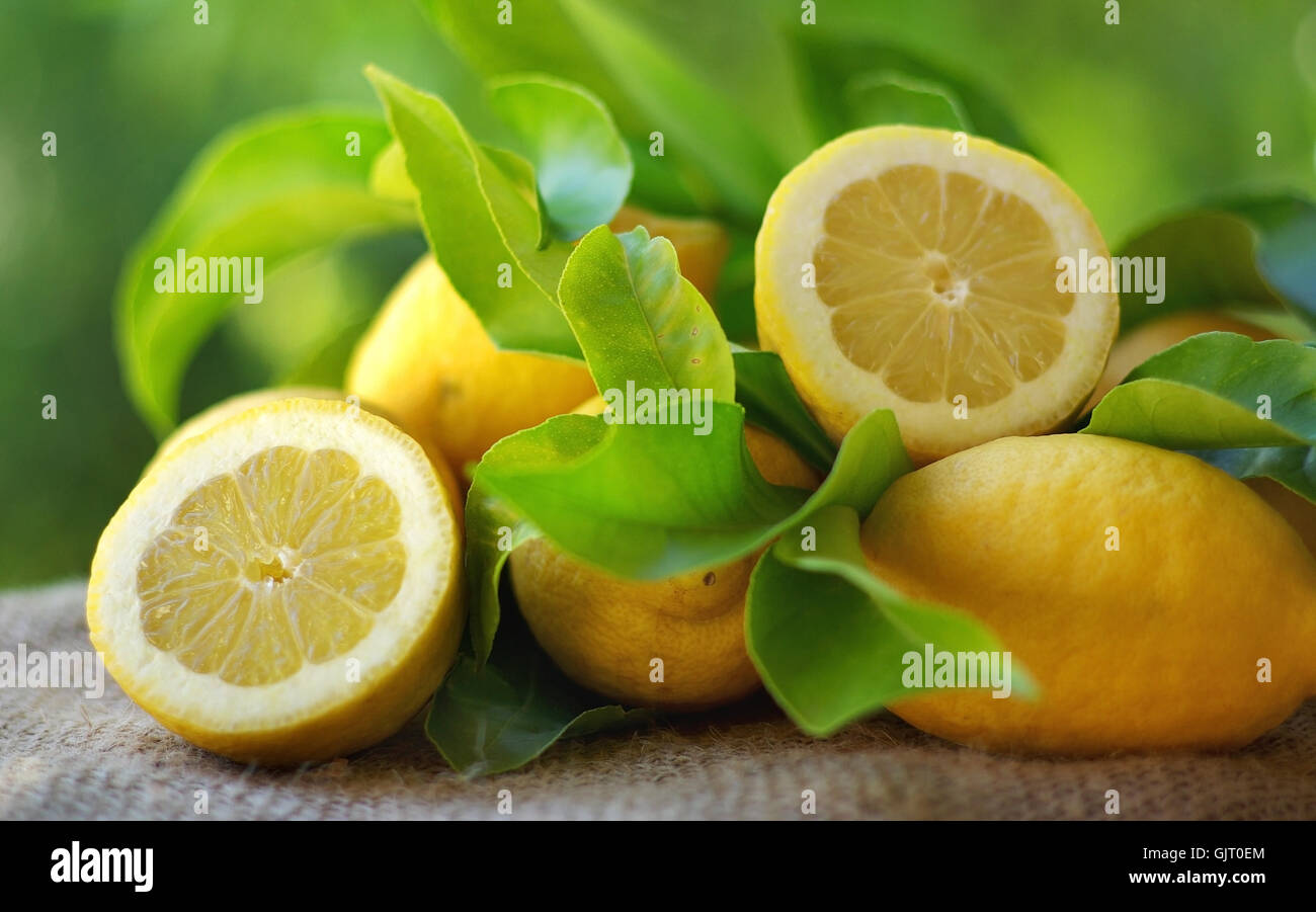 whole lemon citron Stock Photo - Alamy