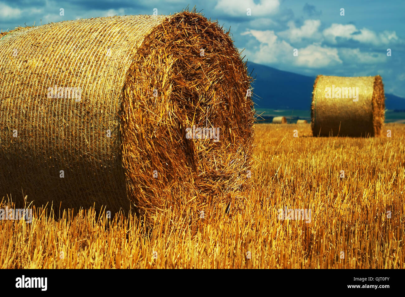 field hay land Stock Photo - Alamy