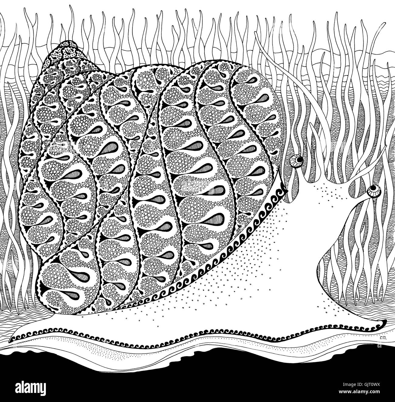 Transparent snail shell Black and White Stock Photos & Images - Alamy