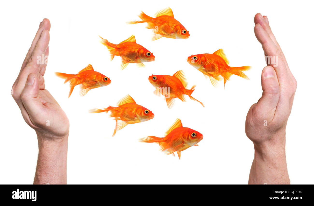 hand hands protect Stock Photo - Alamy