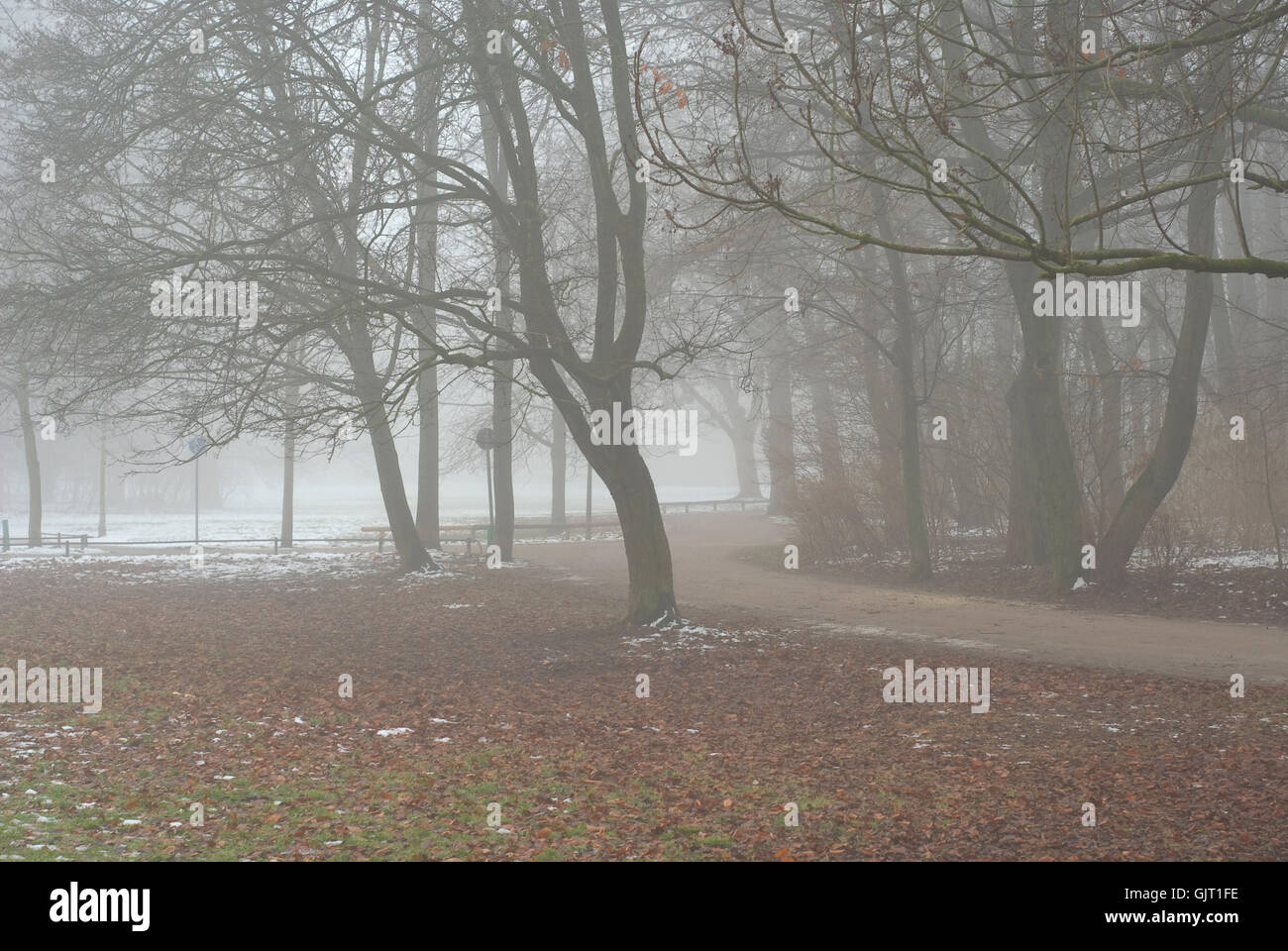 winter fog landscape Stock Photo - Alamy