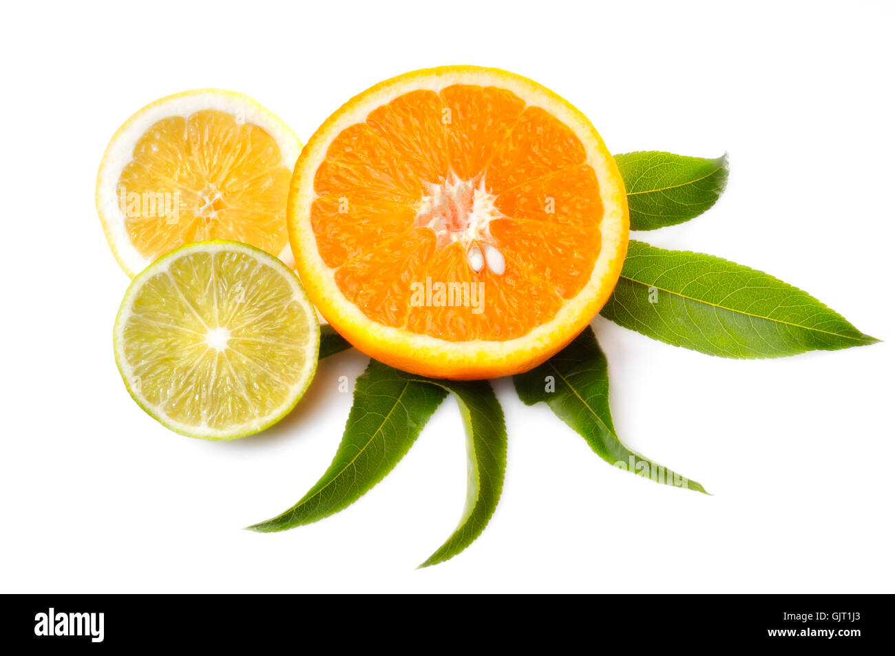 sliced citrus fruits Stock Photo - Alamy