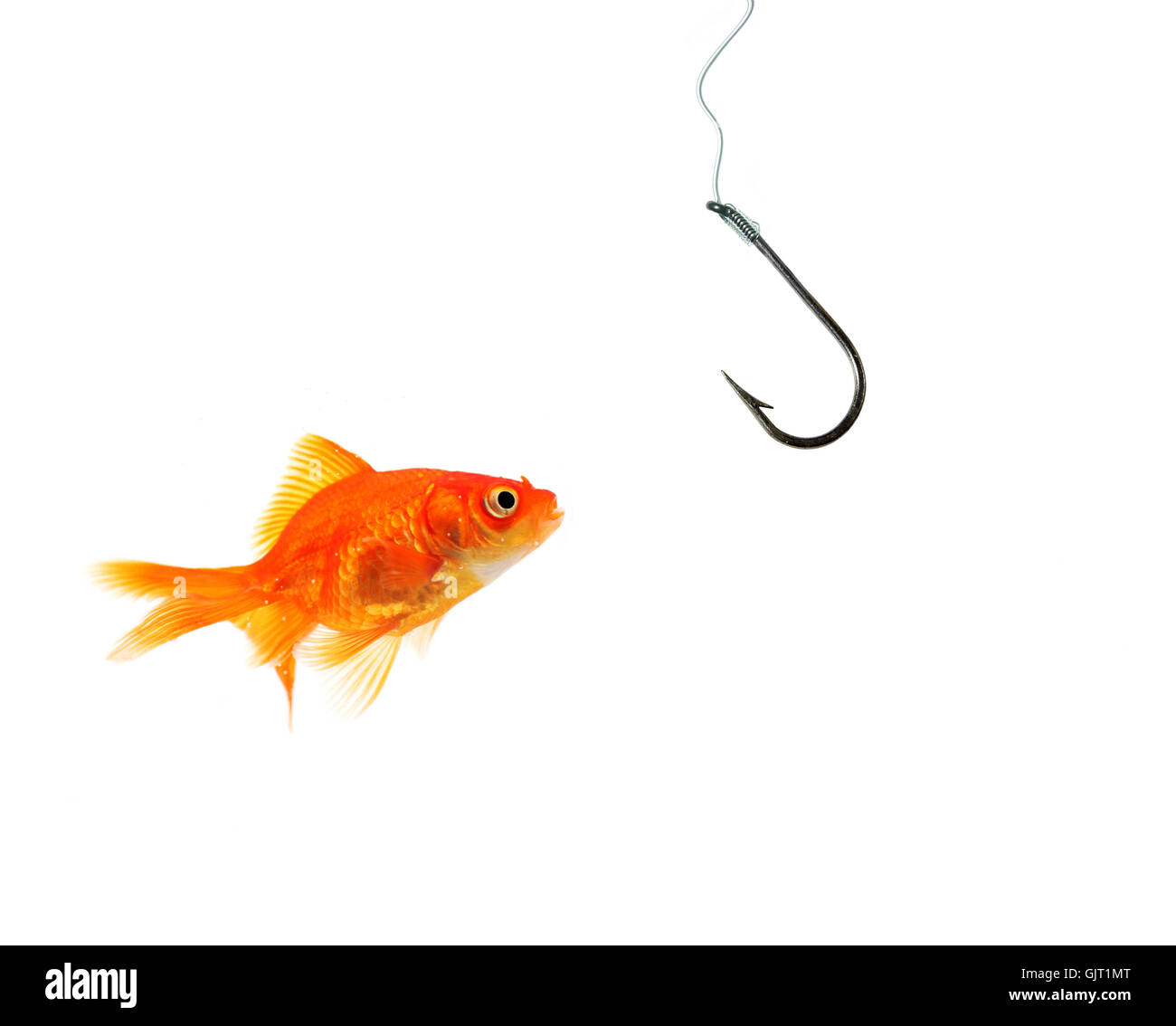 hunger fish fishing Stock Photo - Alamy