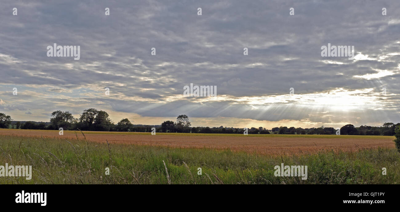 View across the open fields of Norfolk countryside, with sunbeams ...