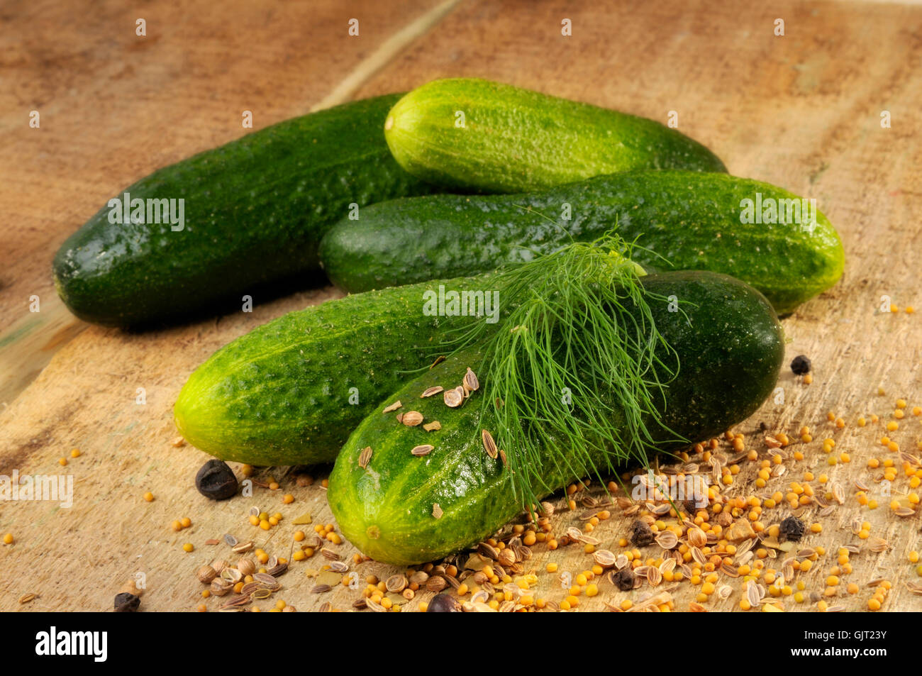 pickles raw before processing Stock Photo - Alamy