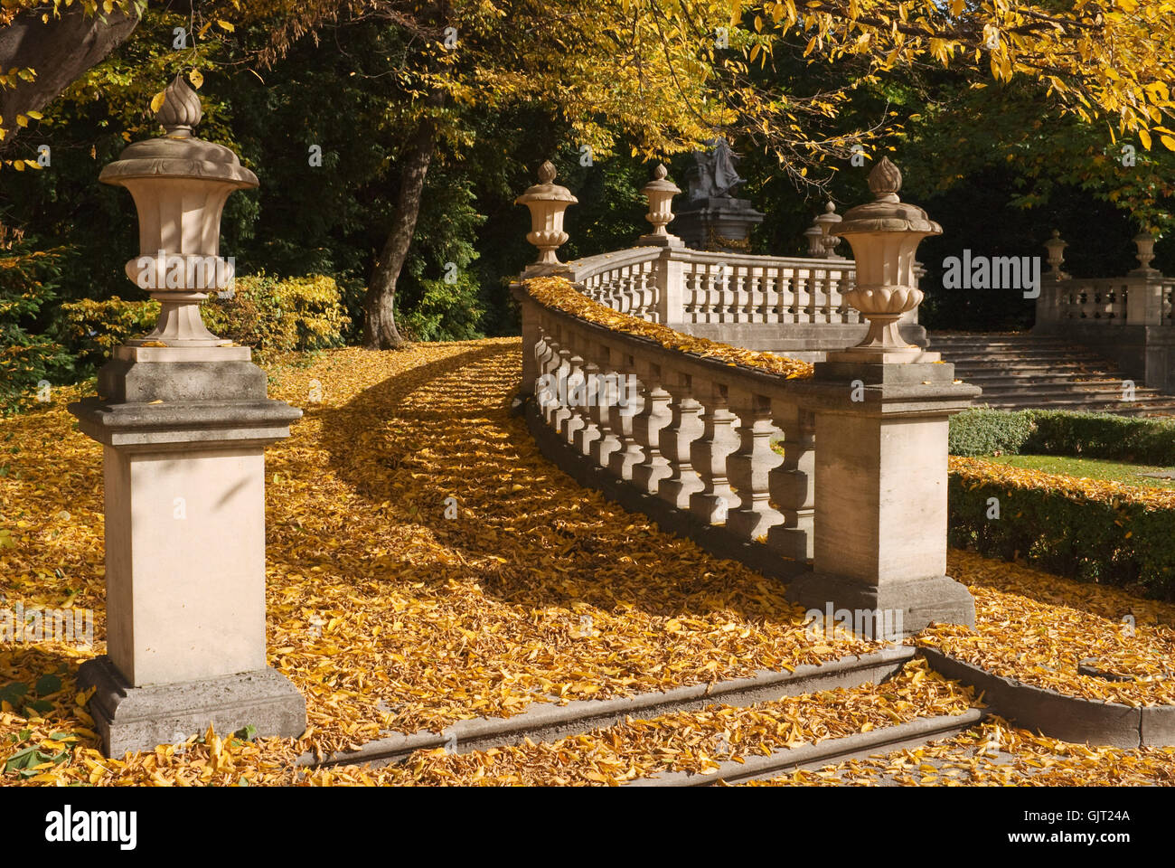 tree trees garden Stock Photo - Alamy
