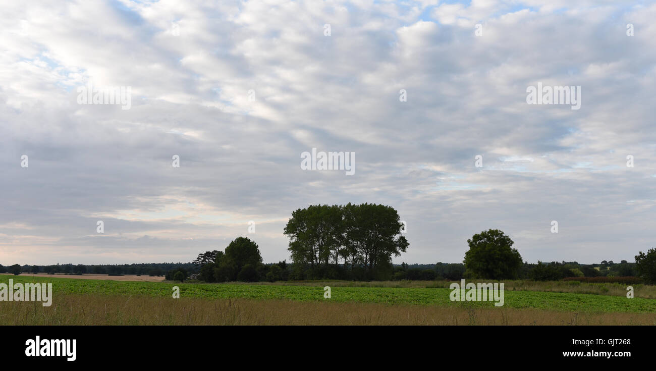 View across the open fields of Norfolk countryside, under a cloudy sky ...