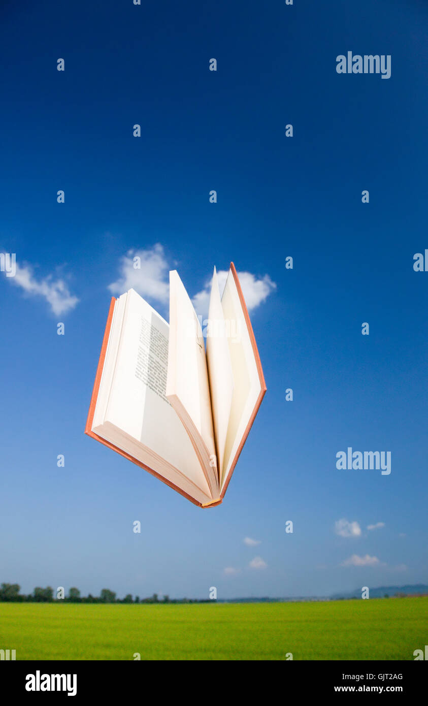 Flying fly flies hi-res stock photography and images - Alamy