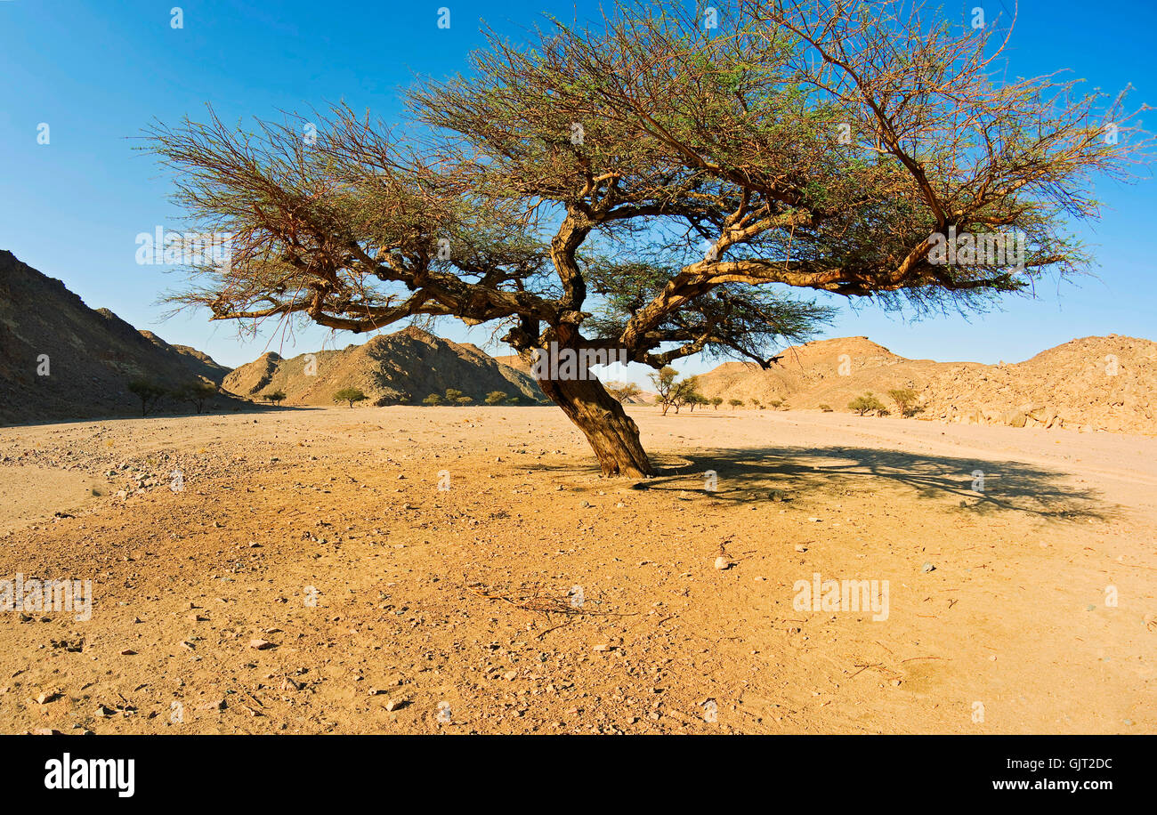 desert wasteland africa Stock Photo - Alamy
