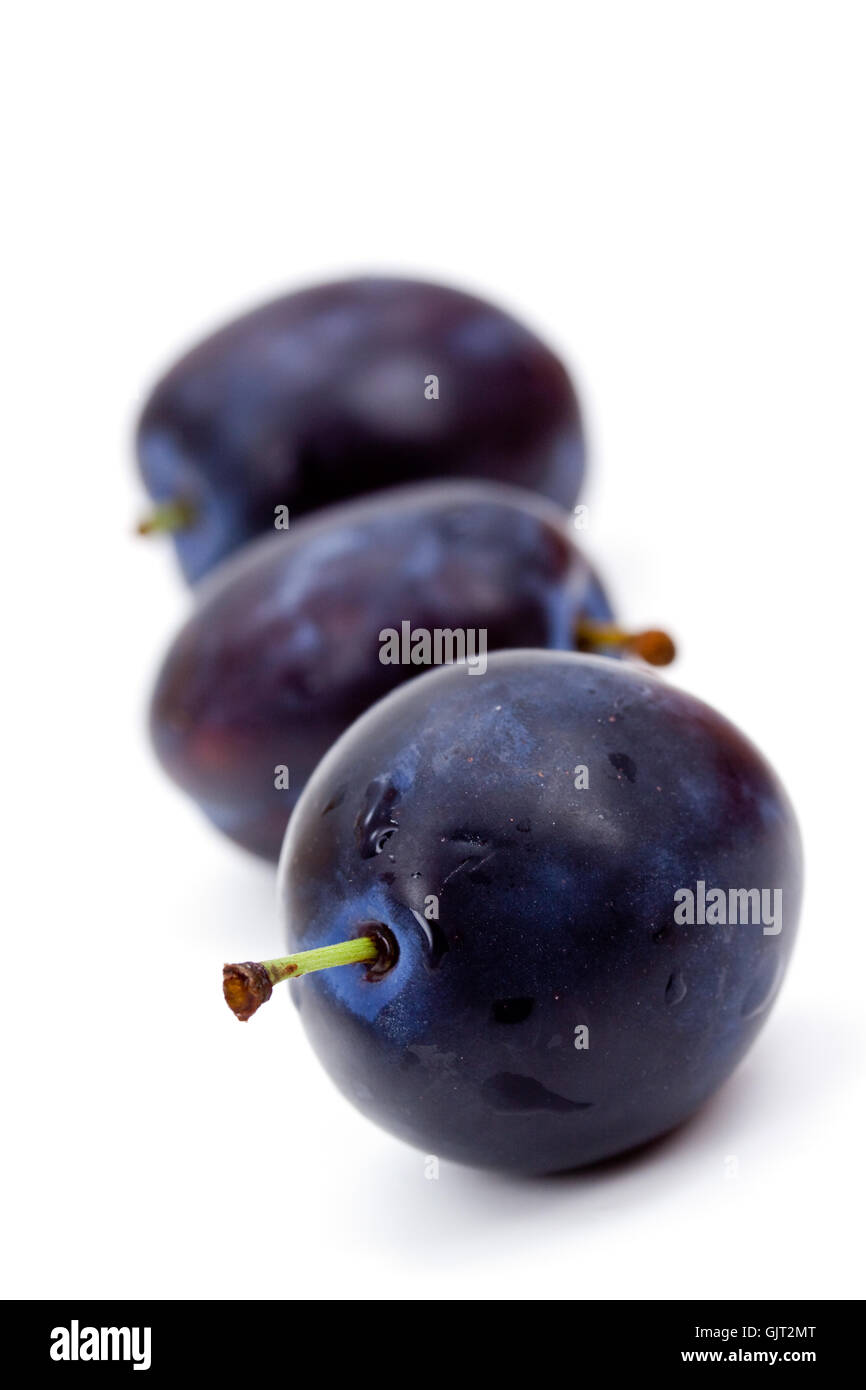 Snow plum Cut Out Stock Images & Pictures - Alamy