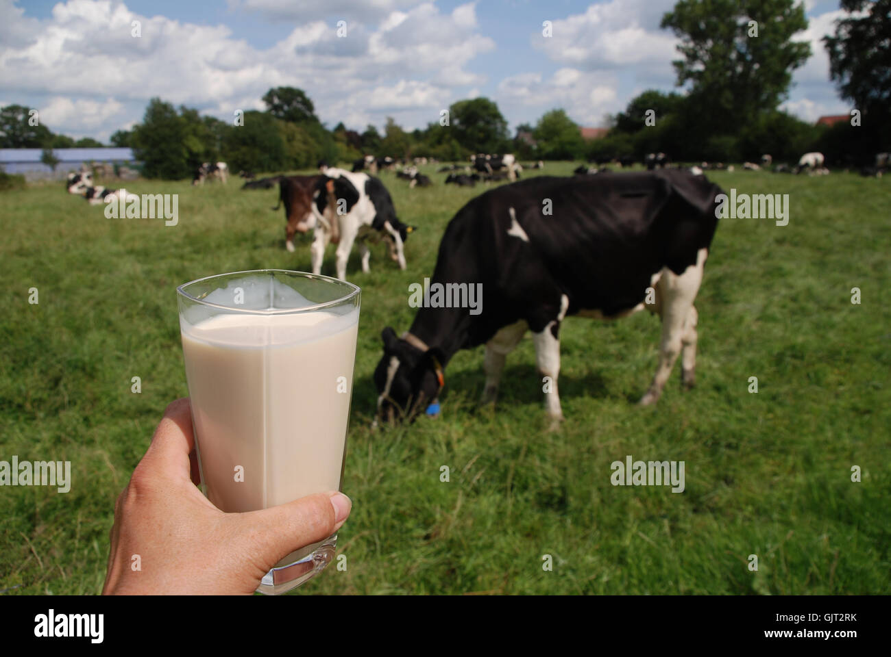 Frischmilch hi-res stock photography and images - Alamy