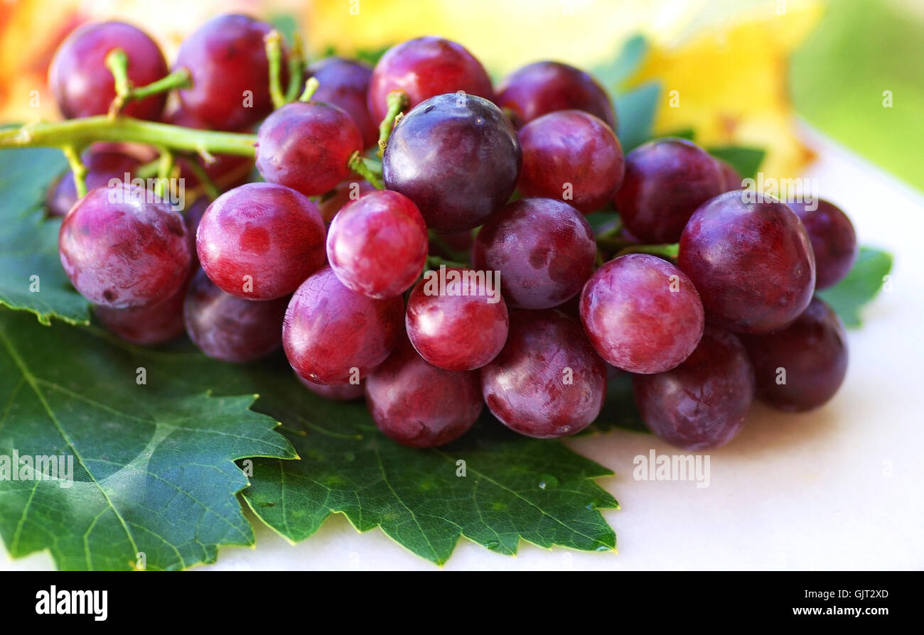 sweet wine ripe Stock Photo - Alamy