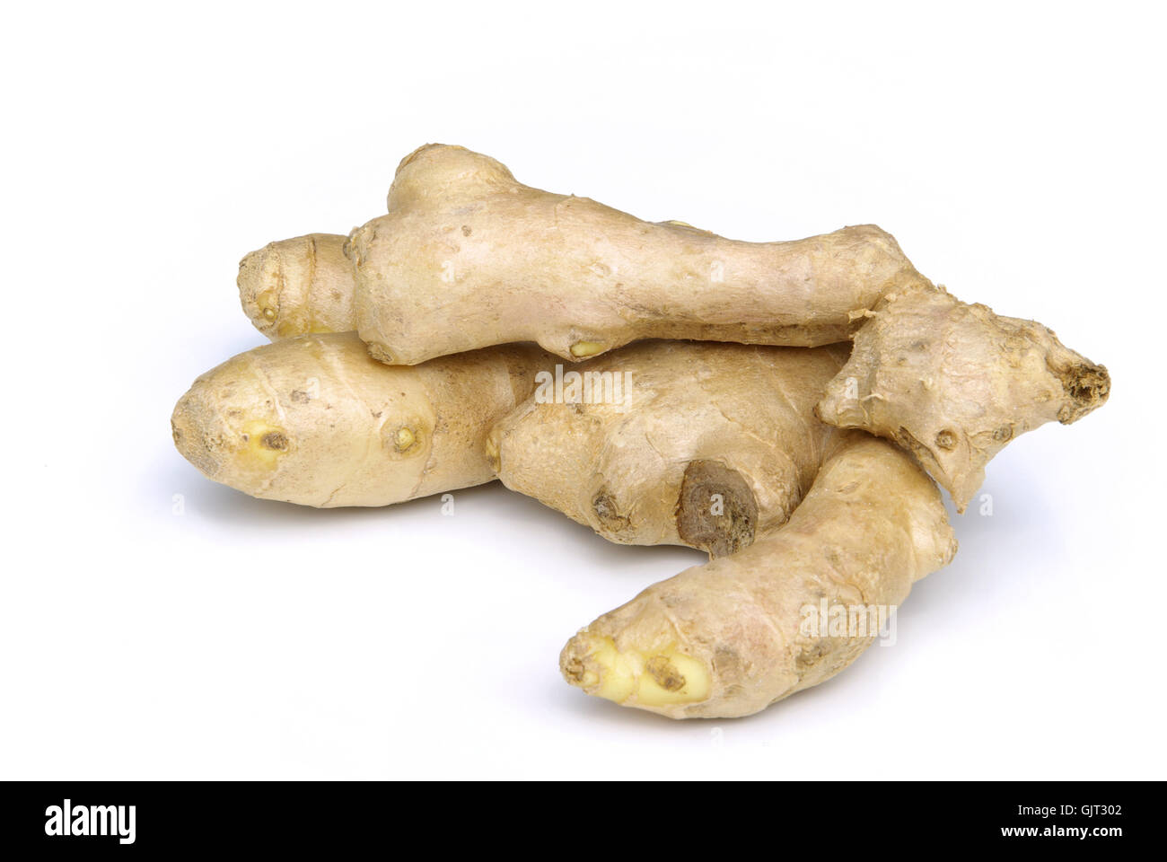 Root segment hi-res stock photography and images - Alamy