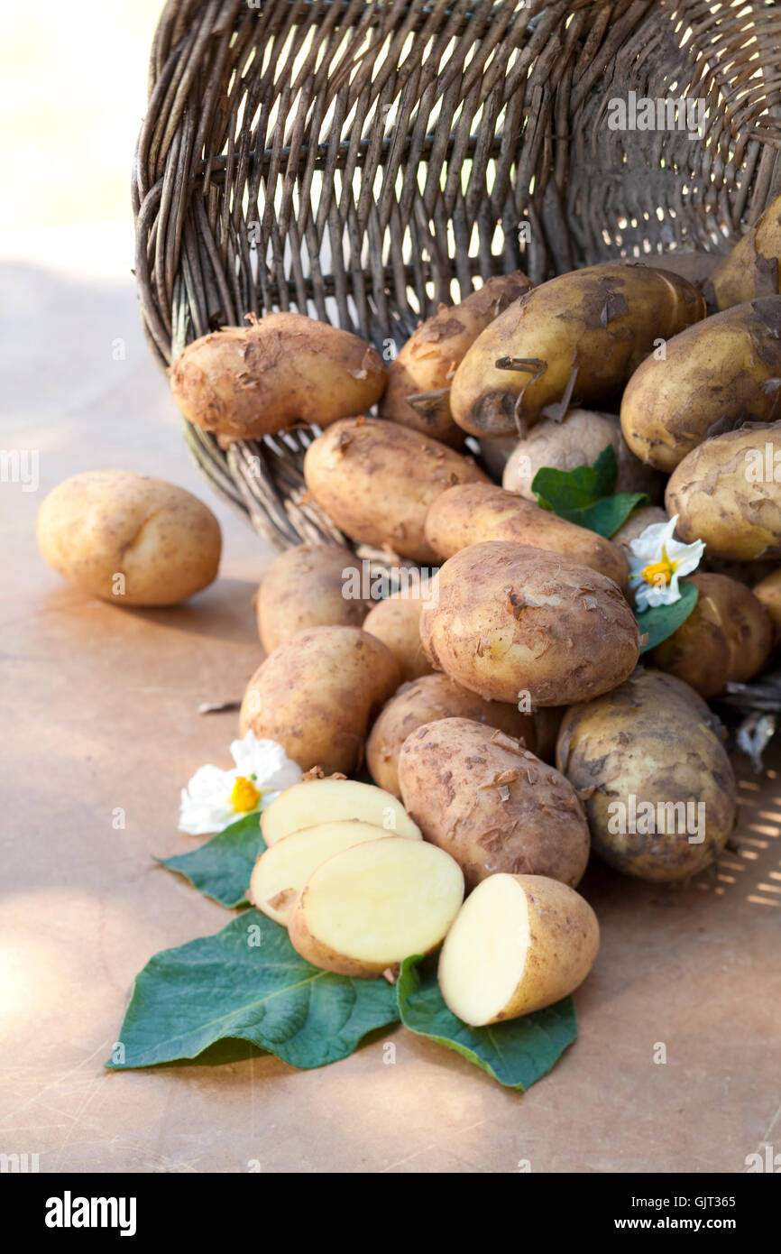 Potatoe hi-res stock photography and images - Alamy