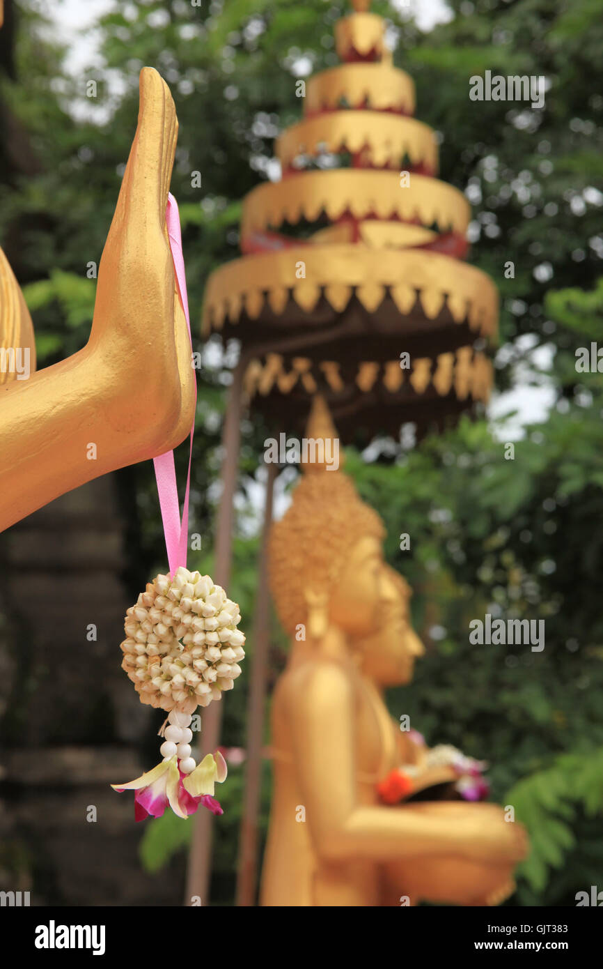 hand macro close-up Stock Photo - Alamy