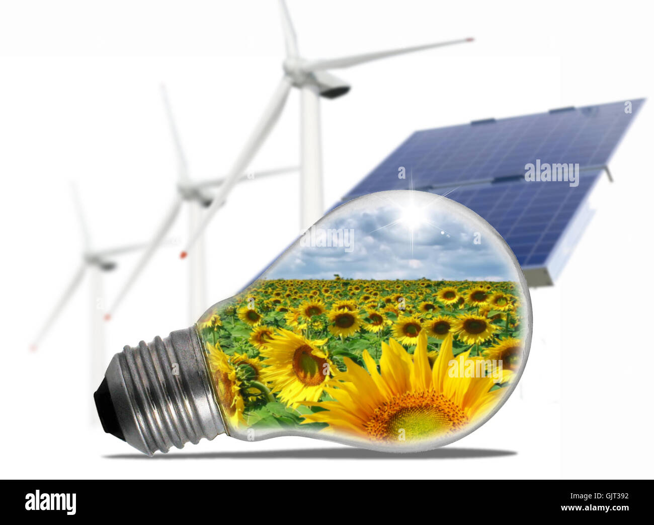 eco flower plant Stock Photo - Alamy