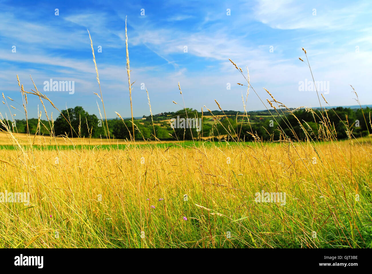 agriculture farming field Stock Photo - Alamy