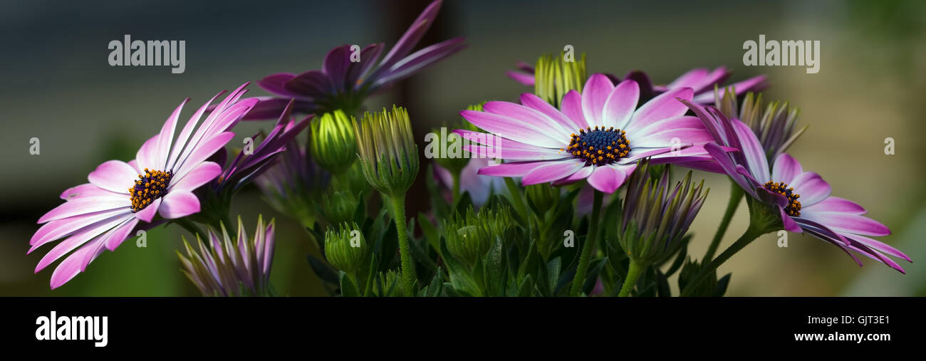 Just a part hi-res stock photography and images - Alamy