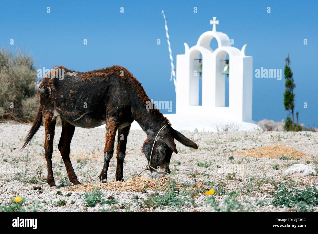 Greece donkey hi-res stock photography and images - Alamy