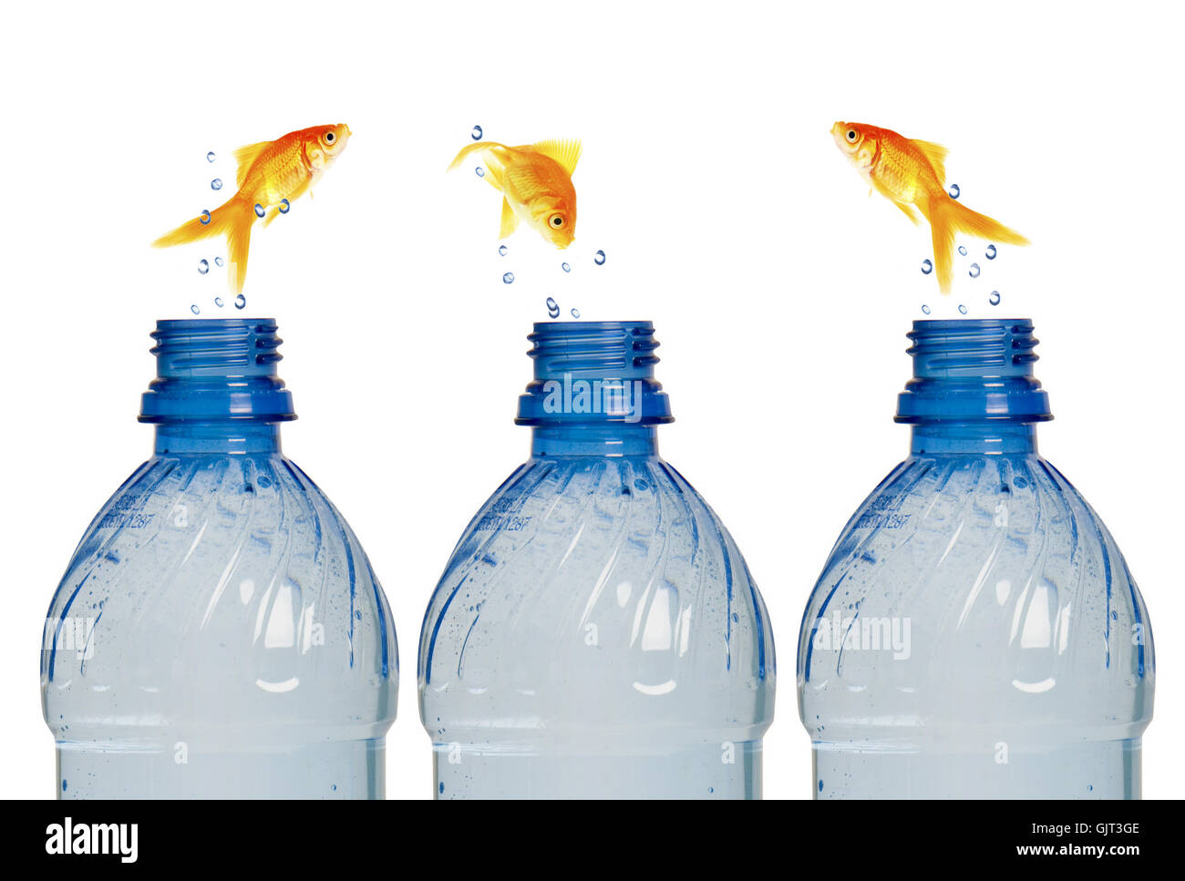 model design project Stock Photo - Alamy