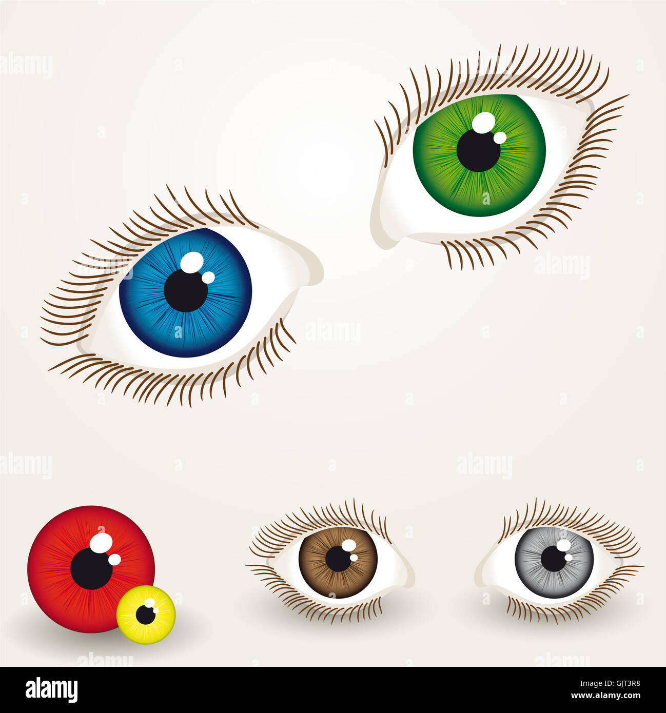 eye organ pupil Stock Photo - Alamy