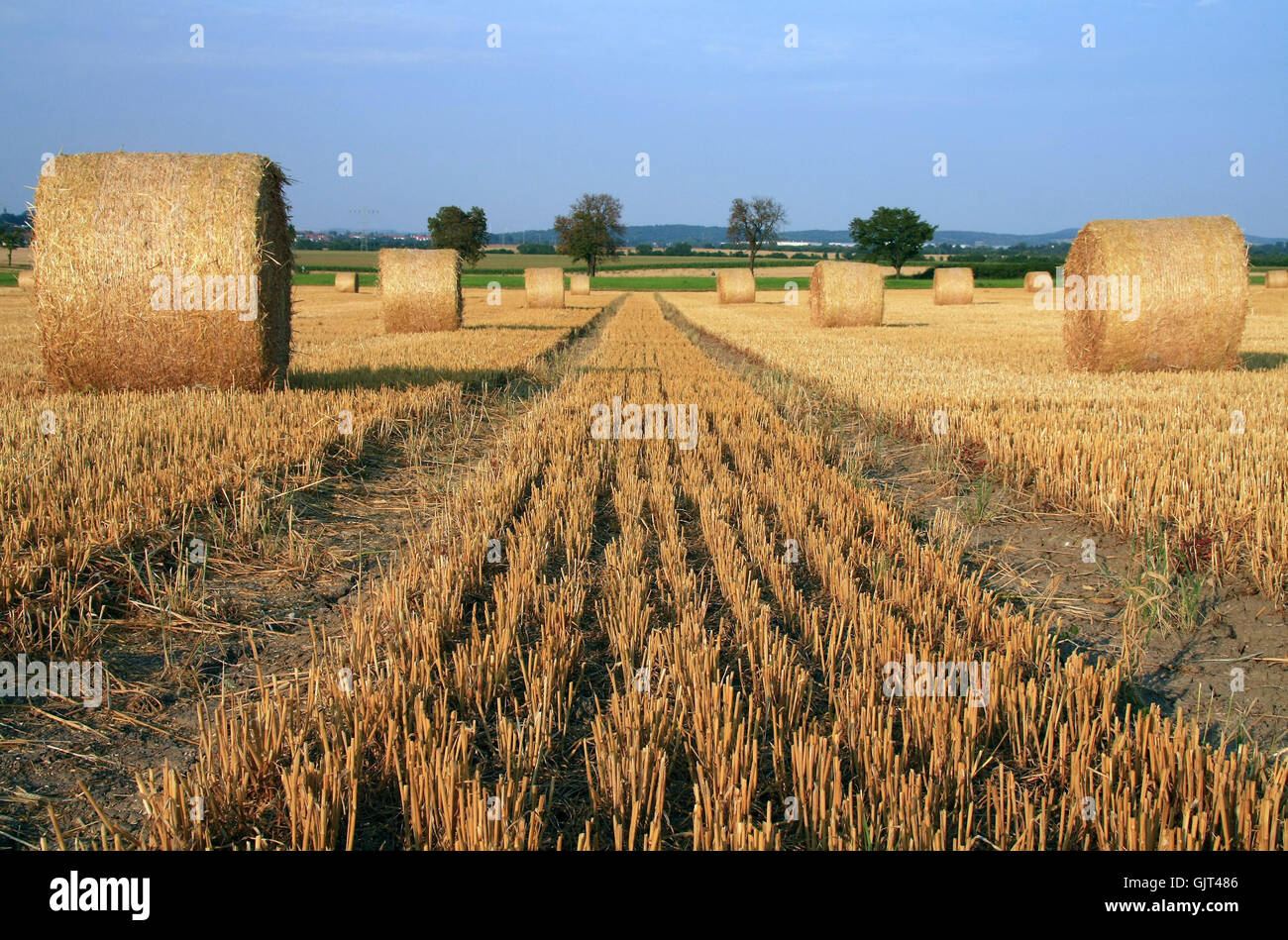 agriculture farming field Stock Photo - Alamy