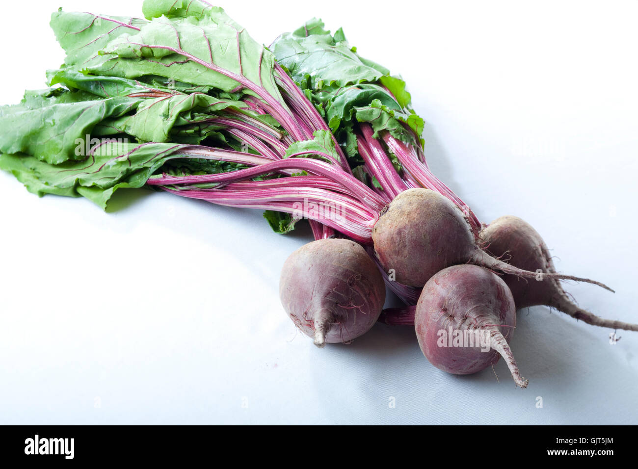 Ruddiness hi-res stock photography and images - Alamy