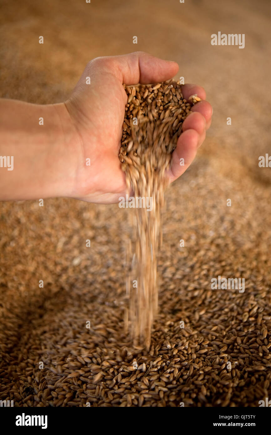 hand agriculture farming Stock Photo - Alamy