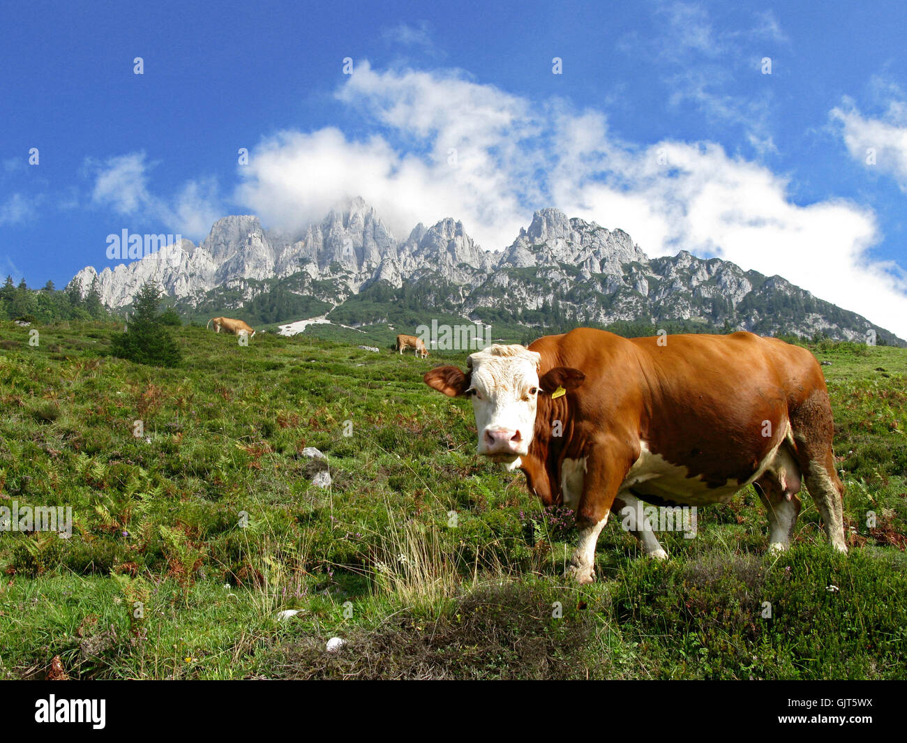 mountains alps alp Stock Photo - Alamy