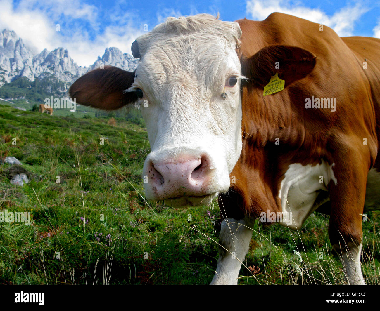 mountains alps alp Stock Photo - Alamy