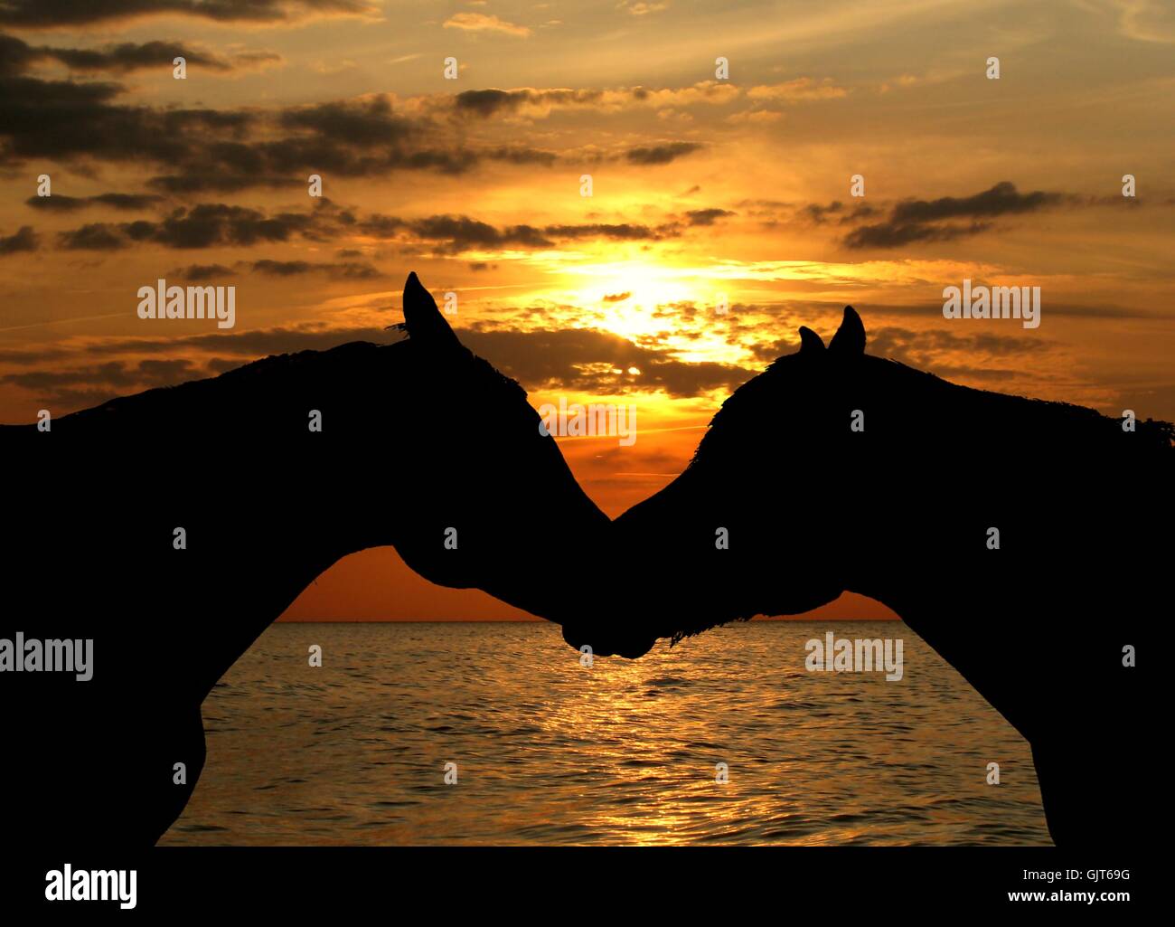 friendship sunset sunrise Stock Photo - Alamy