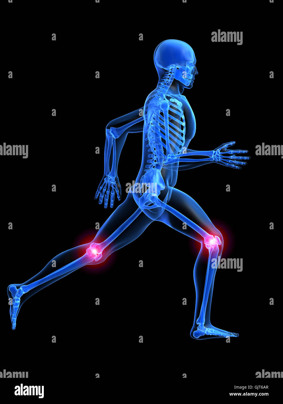 Human anatomy walking medical hi-res stock photography and images - Alamy