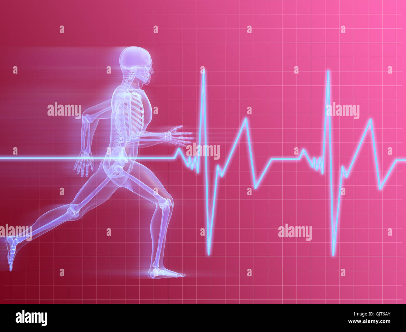 Sport science bones hi-res stock photography and images - Alamy