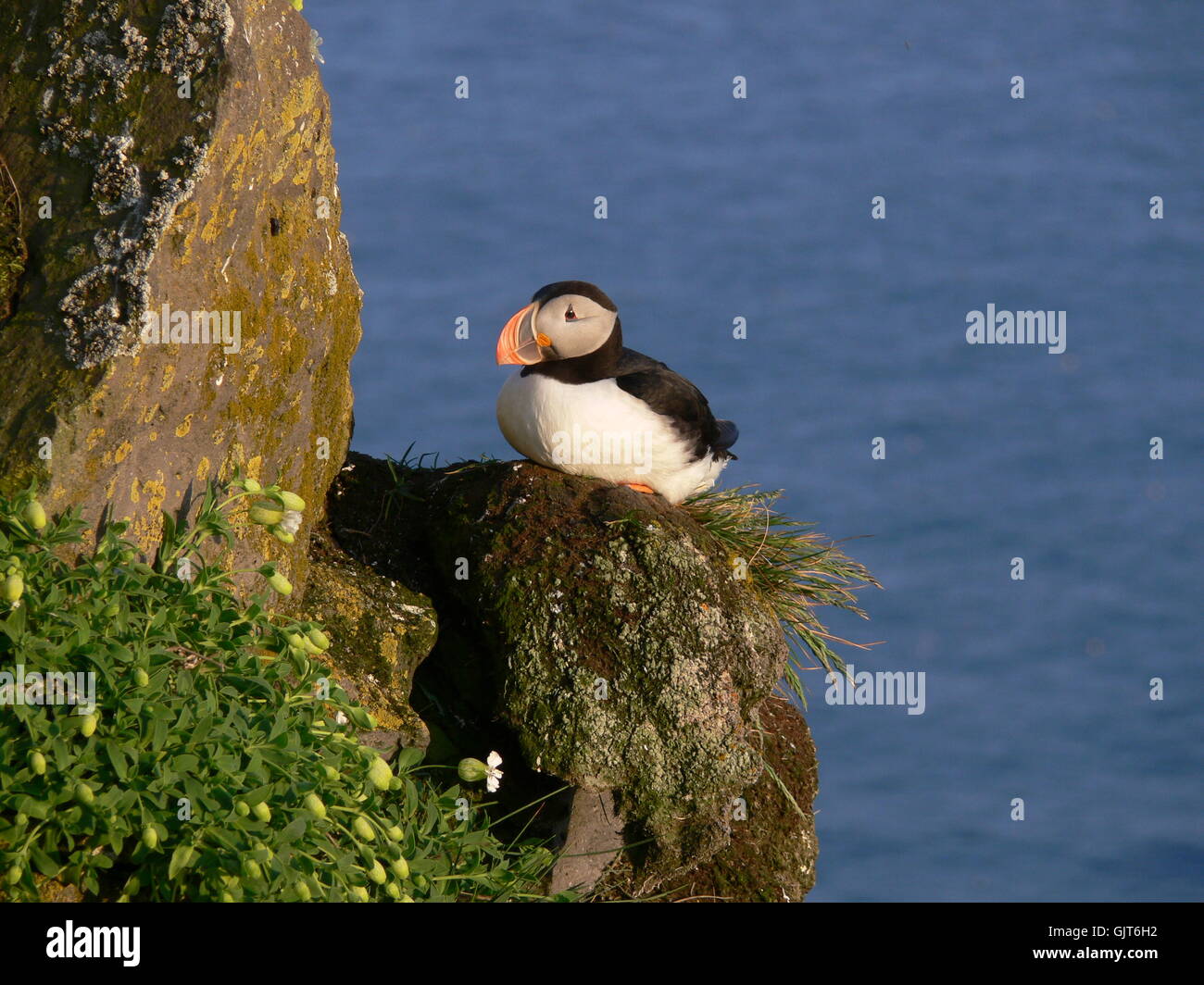 island isle island Stock Photo - Alamy
