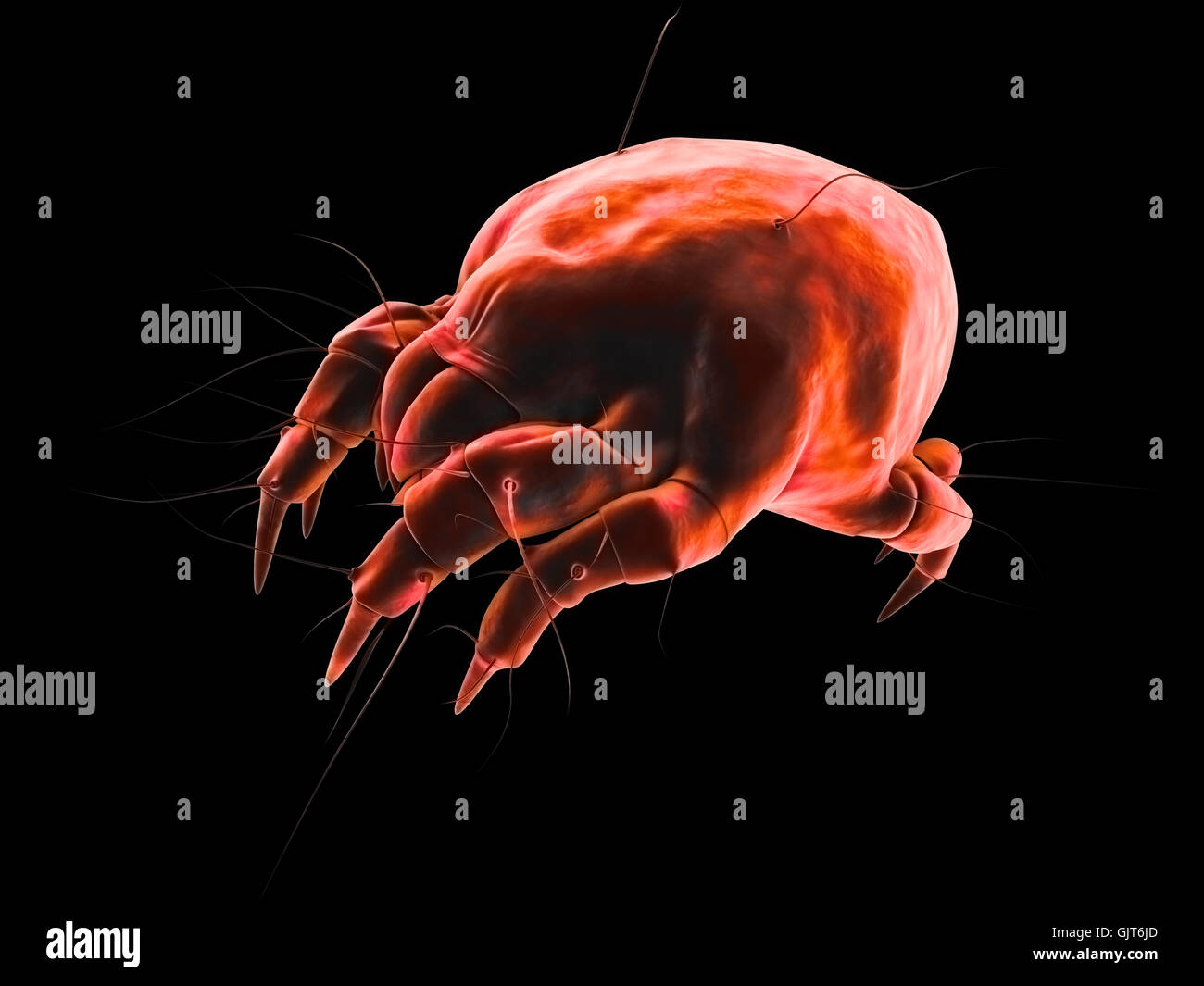 dust dusty hygiene Stock Photo - Alamy