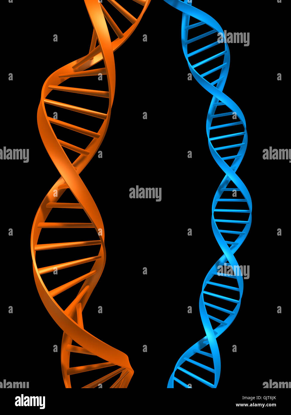 Cancer evolution and the science of life hi-res stock photography and ...