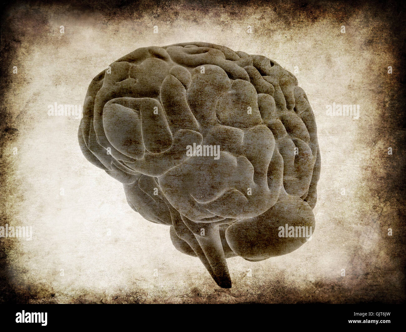 Human mind science hi-res stock photography and images - Alamy