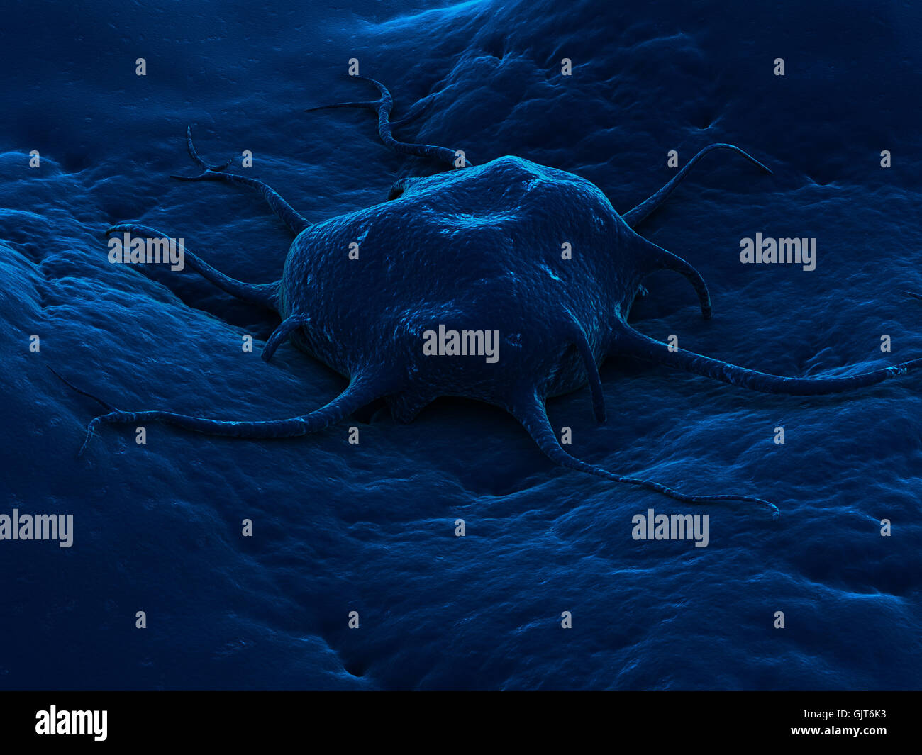 Medical cell hi-res stock photography and images - Alamy