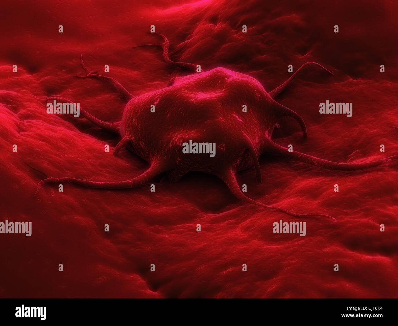 Medical cell hi-res stock photography and images - Alamy