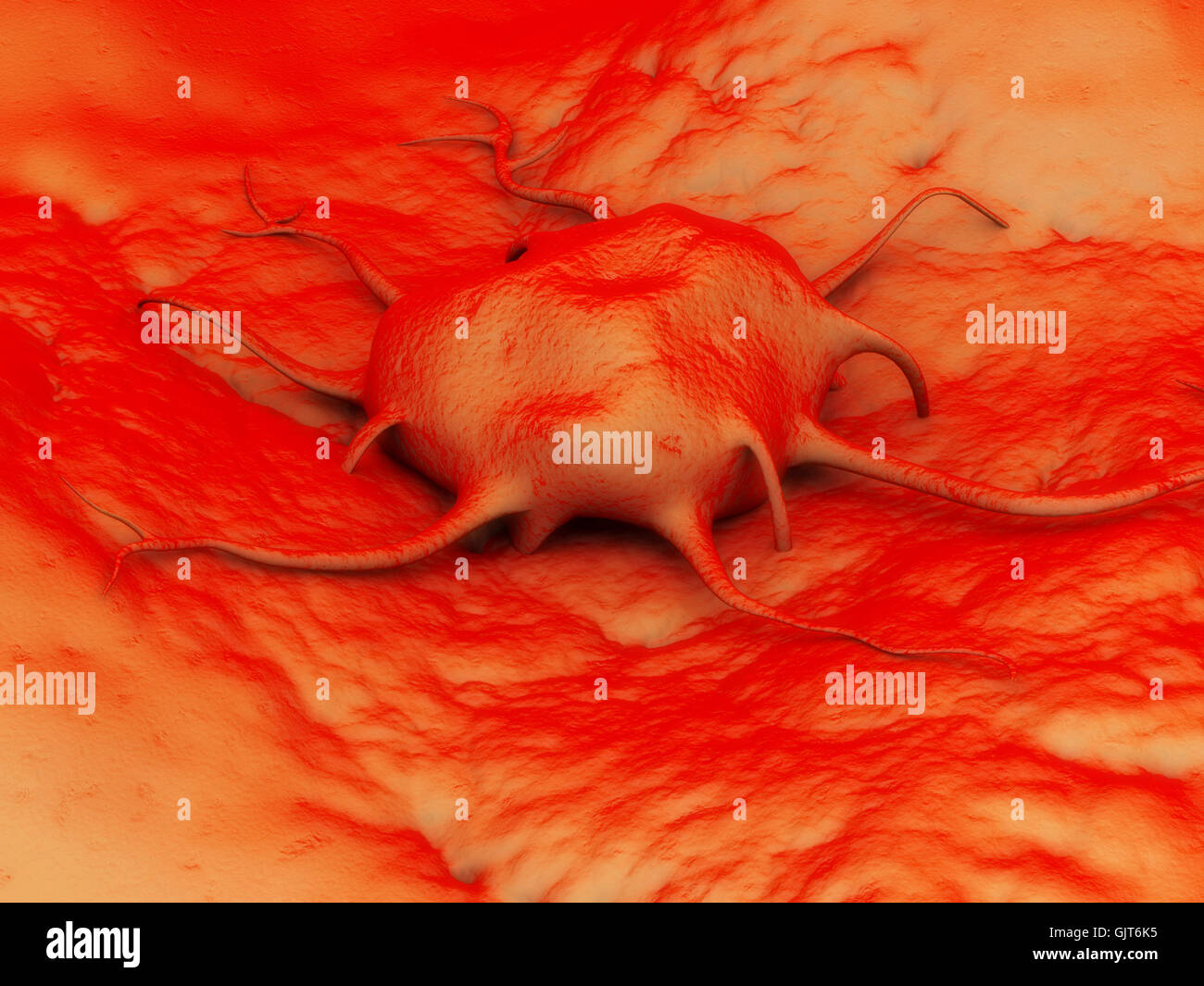 Medical cell hi-res stock photography and images - Alamy