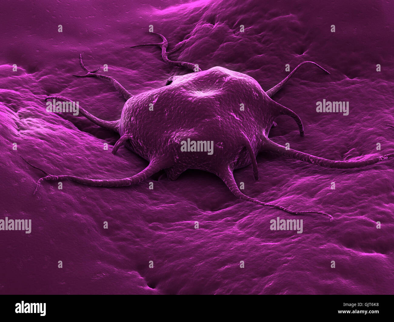 Dead skin cell hi-res stock photography and images - Alamy